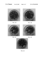 UV Light Barriers for Food Packaging Protection