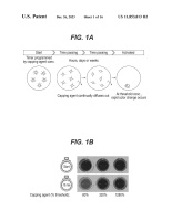 Freshness Indicators in Food Packaging